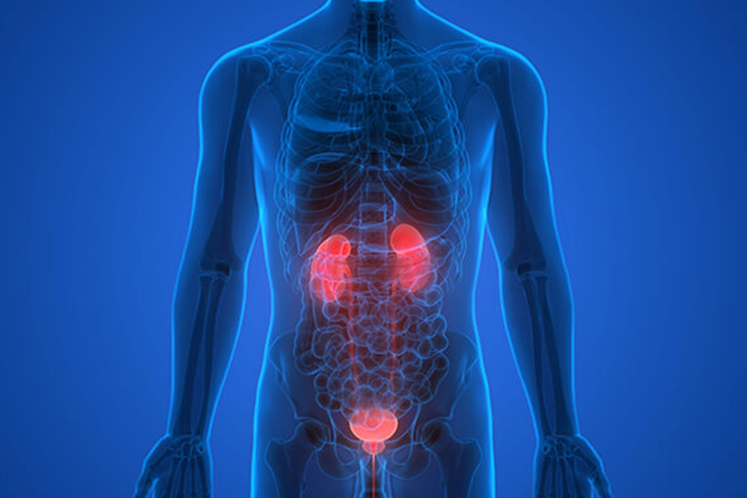 Optimize Patient Care with Kribado: Your VPSS Solution - Indigital ...